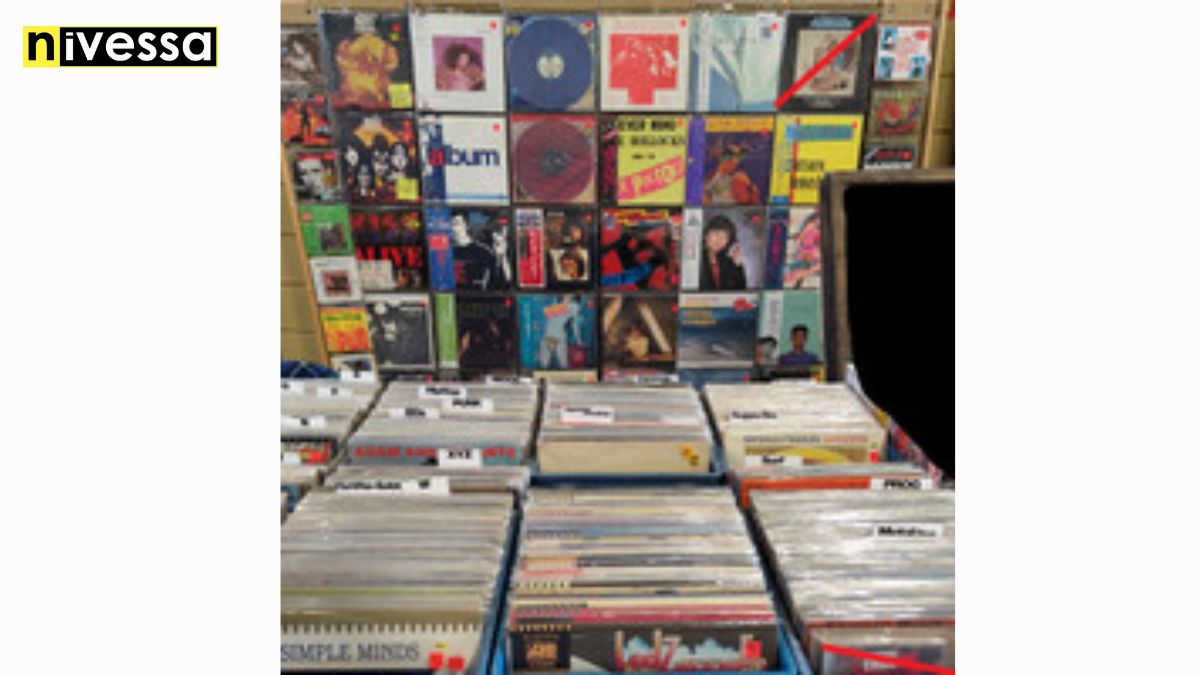 Exploring the World of Vinyl Records on Kijiji - Nivessa Vinyl Records | Record Stores